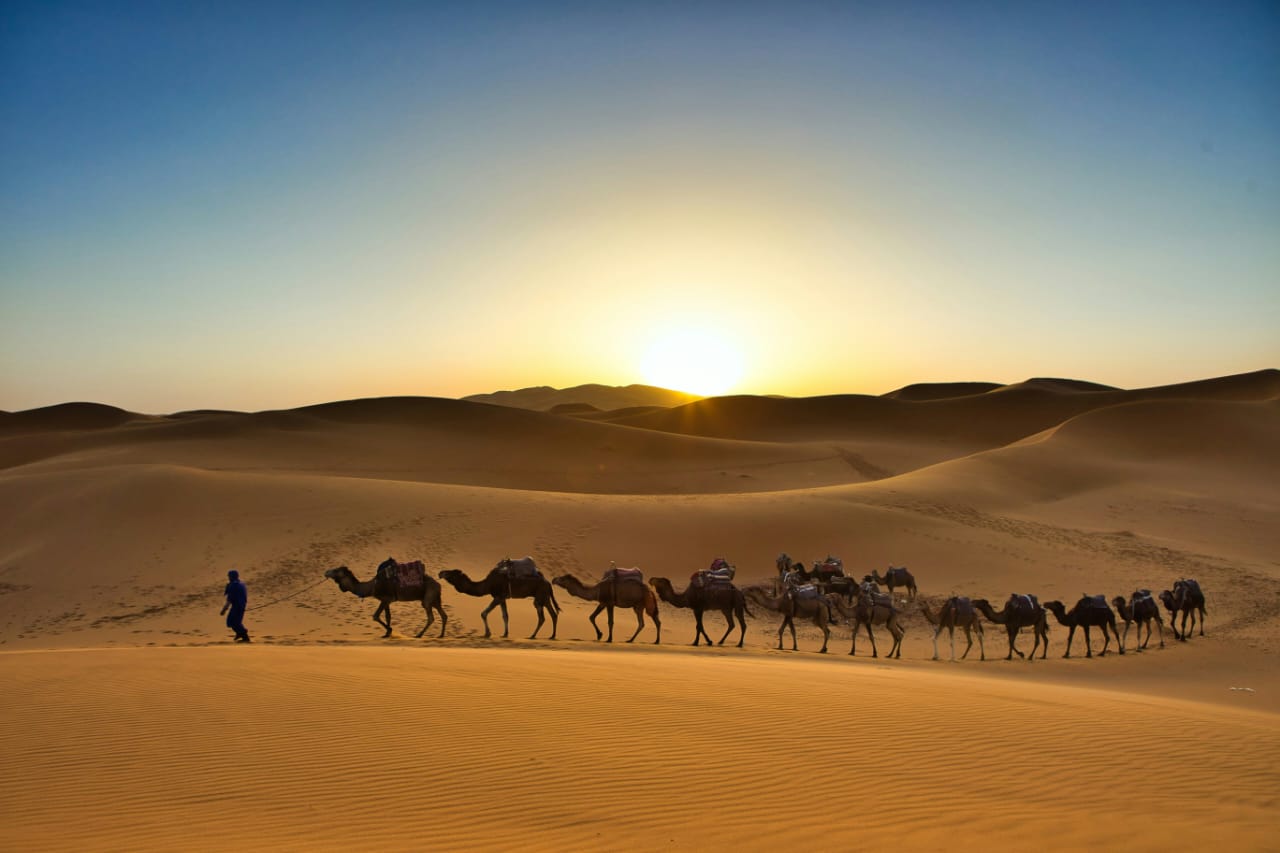 Ayook Eree Global Tours - Travel Beyond Boarders